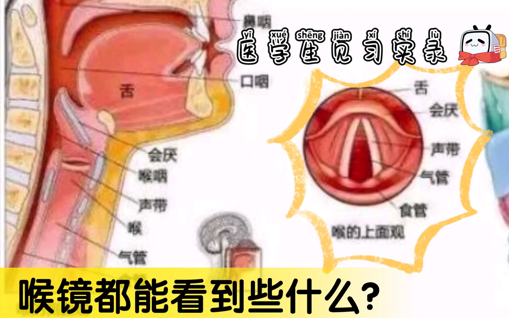 医学生见习实录|耳鼻喉科|通过喉镜能看见什么?