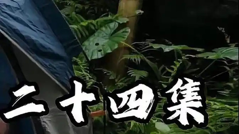 荒野露营 第二十四集 小美篇(24完整版) 小美比卡丘,这是叫荒野舒适...