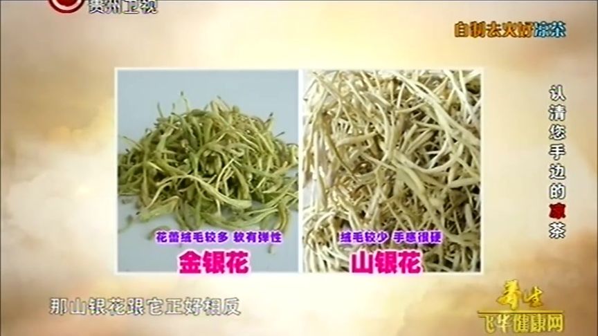 金银花和山银华有什么区别呢?野菊花有什么功效?专家为你解答