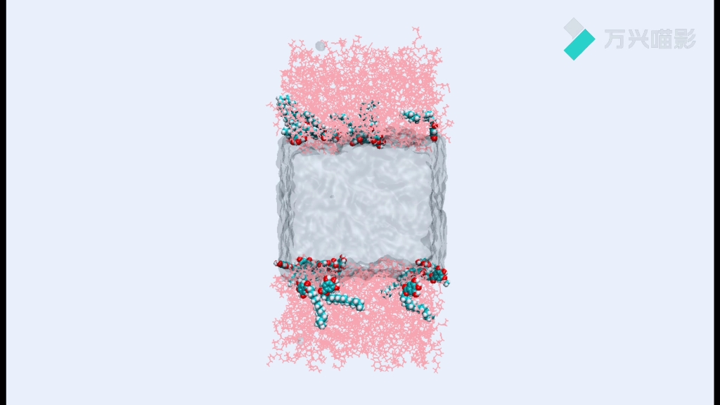 ...油端),自组装以及在水/油界面的情况 基于GROMACS分子动力学模拟