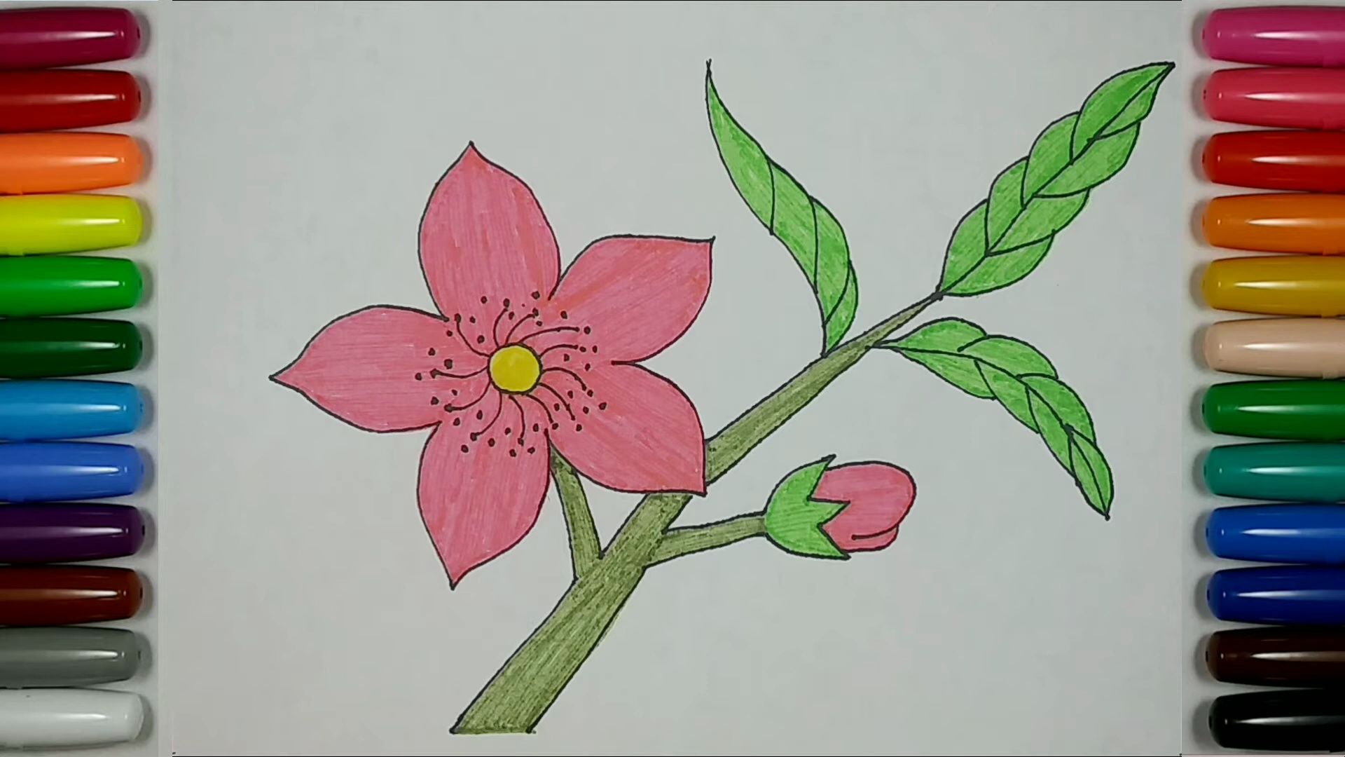 【儿童简笔画教程】画一朵盛开的桃花:春日的芬芳!