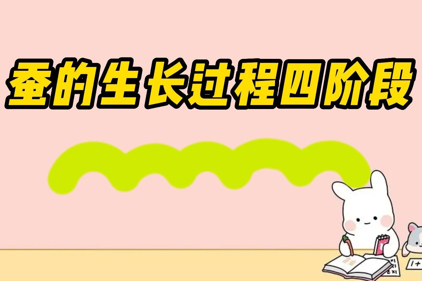 蚕的生长过程四阶段