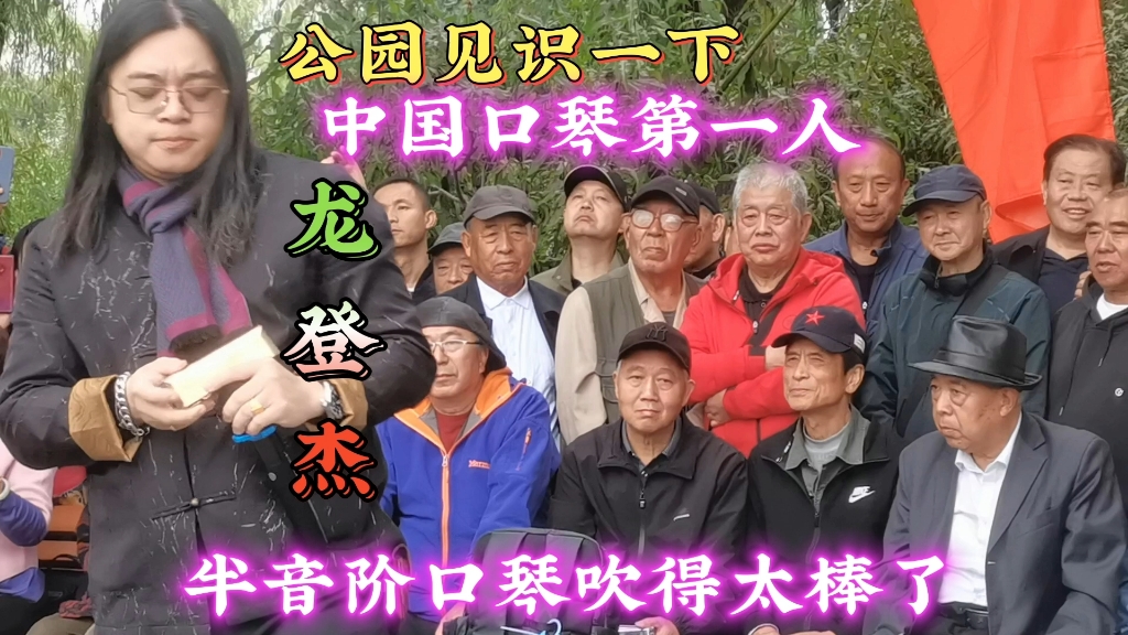 龙登杰!不愧是中国口琴第一人,金奖获得者,双簧管的全国冠军!#口琴...