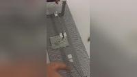 双门捕鼠笼使用视频