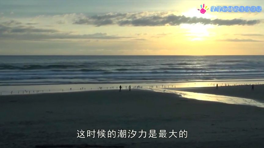 为什么大海会涨潮退潮?退潮以后海水去哪了?其实原理很简单!