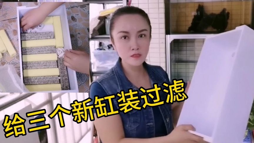 要给三层鱼缸装过滤系统,来看看惠姐的滤盒怎么装?滤材如何摆?