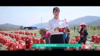 云南省农村信用社楚雄分社助销元谋洋葱销售2—张怀斌.mp4
