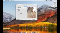 5.4-Magic Mouse基本设置--Mac OS X新手教程 10.13High Sierra