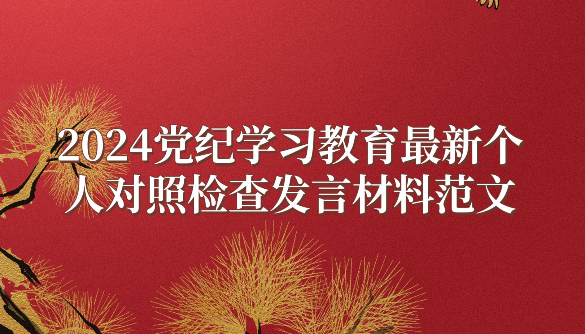 2024党纪学习教育最新个人对照检查发言材料范文