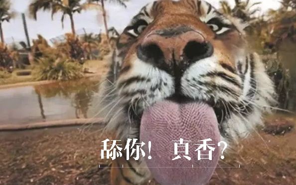 (外国大佬设计)线性度极高的三角波发生器