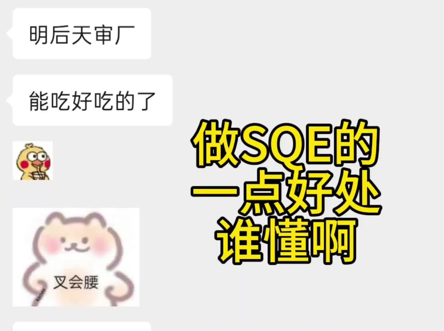 做sqe供应商质量工程师的一点好处谁懂啊 #SQE #供应链 #质量管理 #...