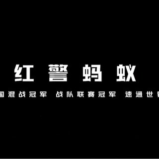 红警的蚂蚁 