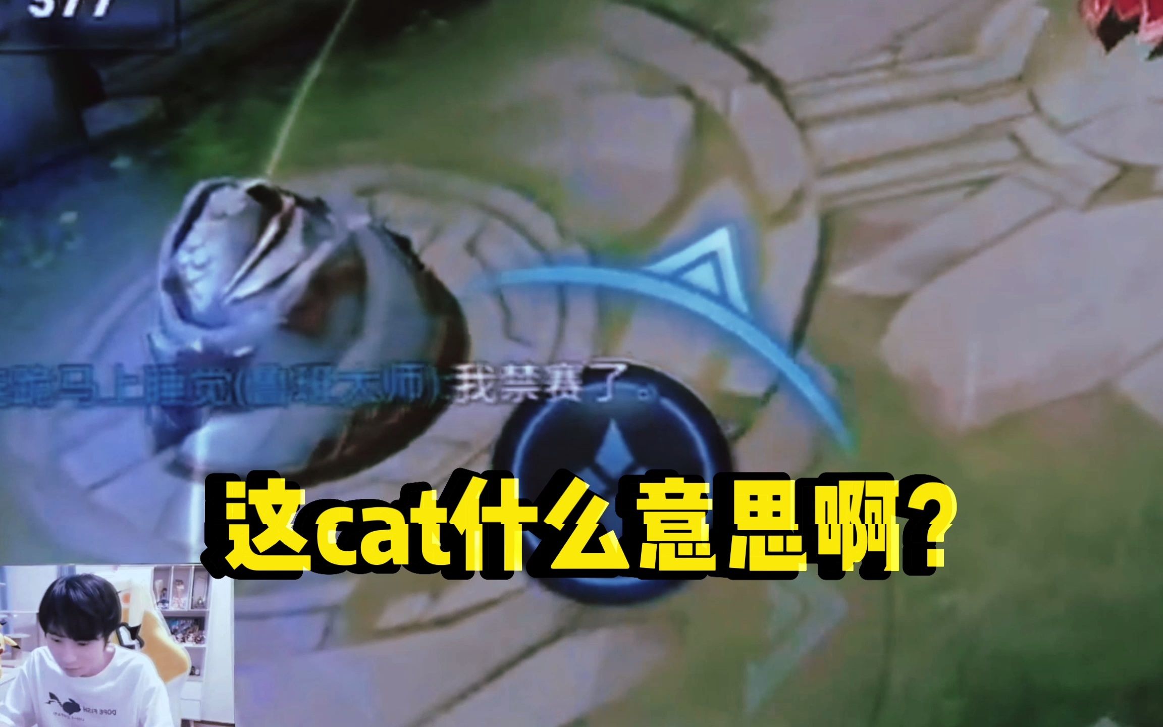 Gemini:这cat什么意思嘛?