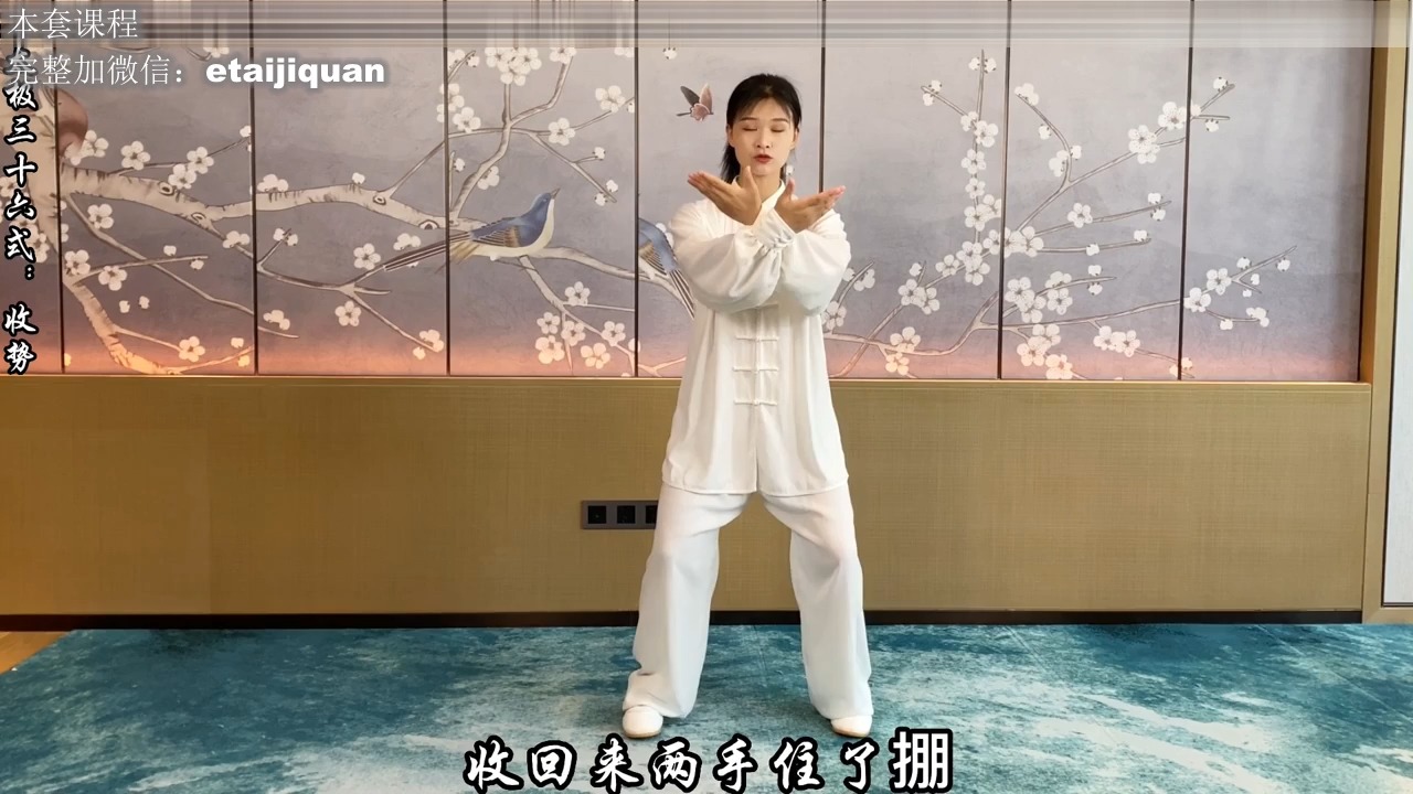 刘莹视频课程炁太极入室弟子班167.非镜面教学炁太极三十六式之收势