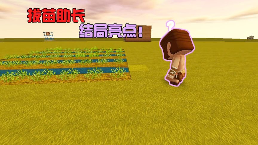 迷你世界故事:农夫拔苗助长,破坏禾苗生长规律,导致禾苗枯萎!