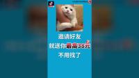 赶快下载抖音极速版,看看视频就把钱赚了!
