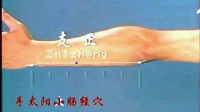 16-支正-(头痛、项强、月弦、肘臂手指挛痛、热病、癫狂)-小臂背尺侧