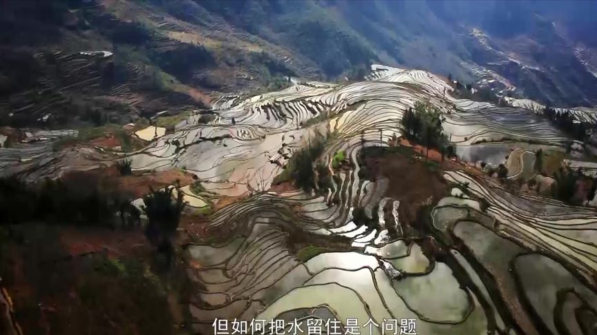自然档案馆:梯田完美利用了山地生态系统,中国人的智慧令人惊叹