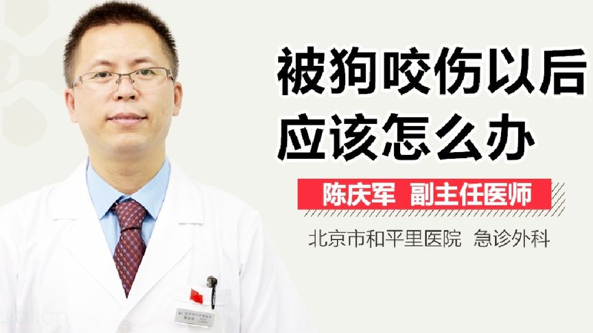 被狗咬了怎么办?这几件事立马去做!