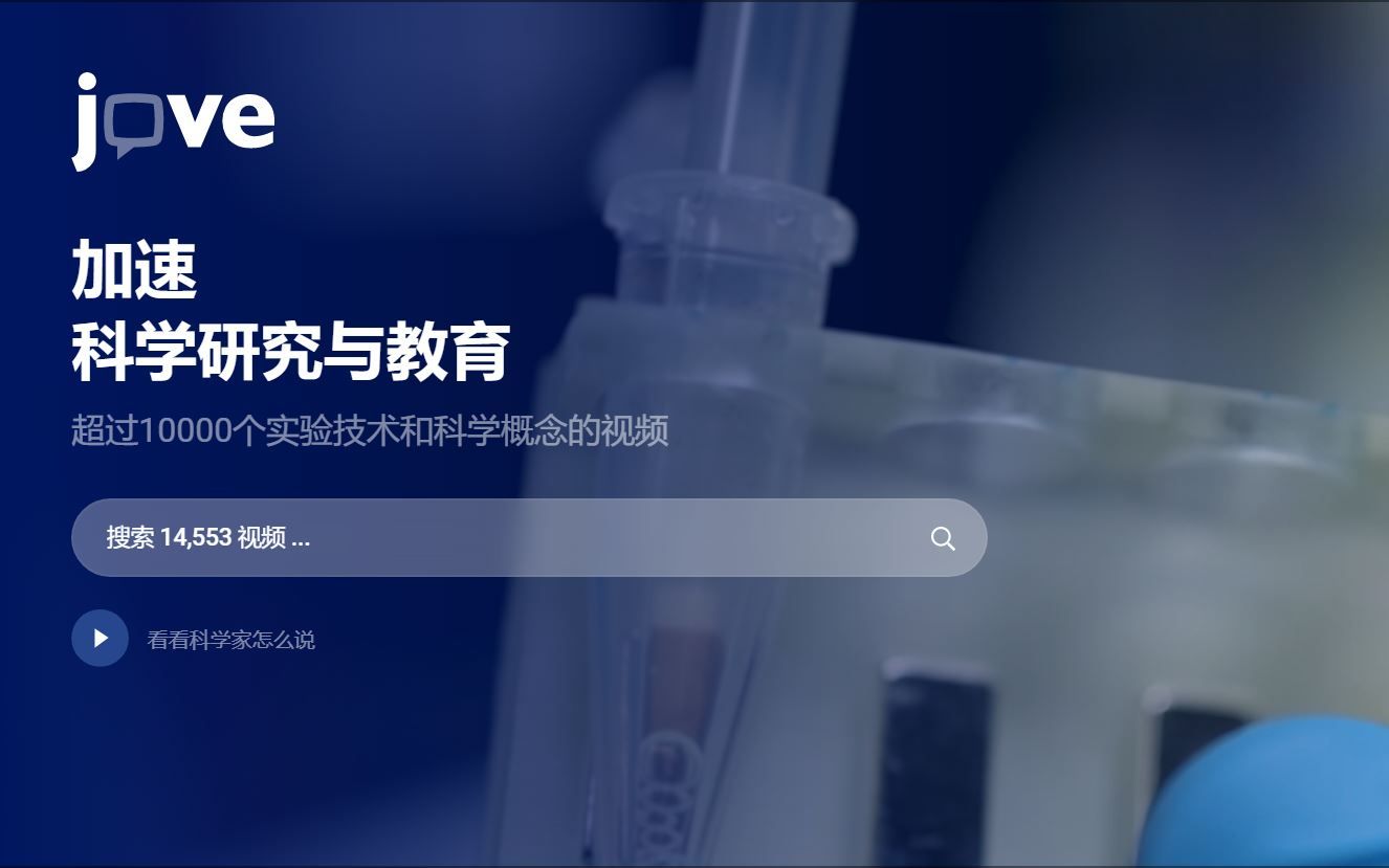 扫描电子显微镜 (SEM)