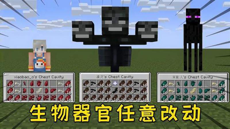 我的世界:假如可以给所有生物都做手术?随意调换身体器官!