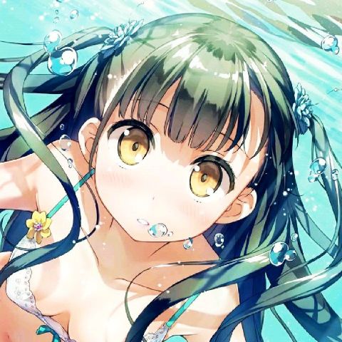 袁风振sha 