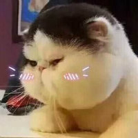 卜丁爱 