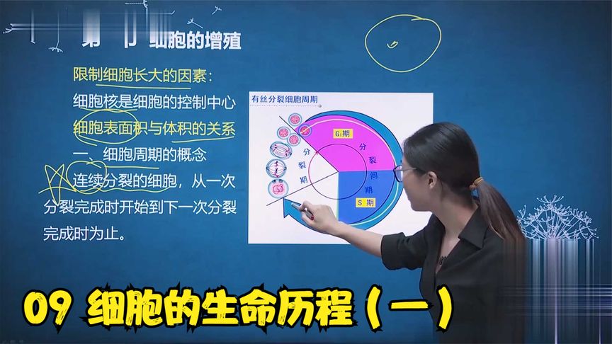 【21年教师资格考试 高中生物】09 细胞的生命历程(一)