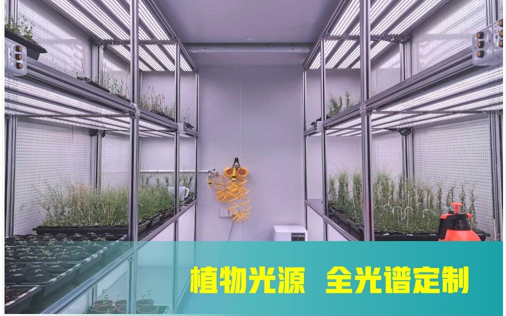 人工气候室专业厂家|养虫室 组培室 中山大学案例 求是环境