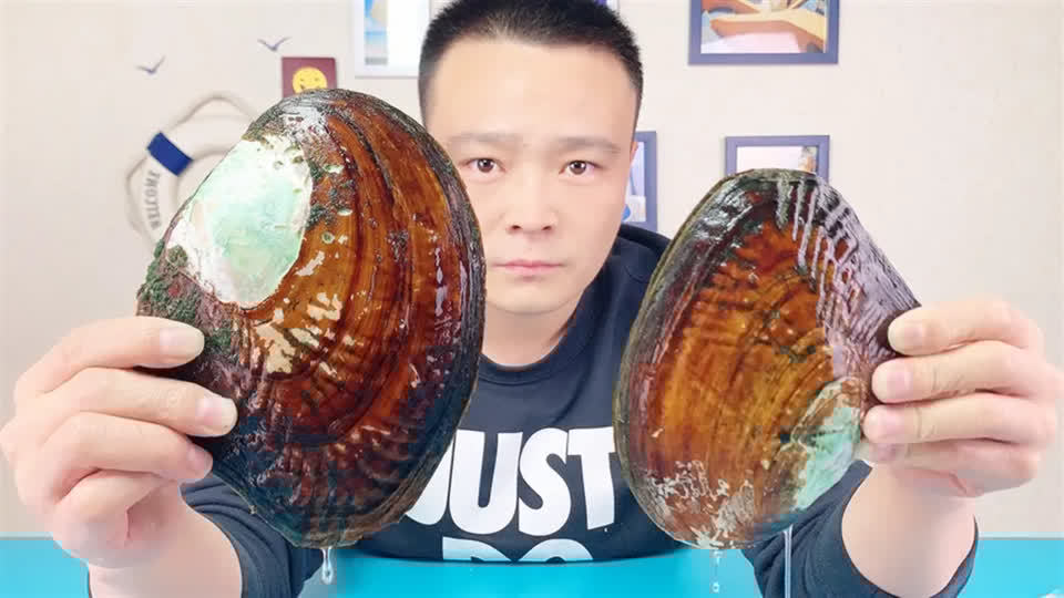 49元网购两个活体"珍珠蚌"到底能开出多少颗珍珠