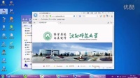 IE浏览器的使用与属性设置