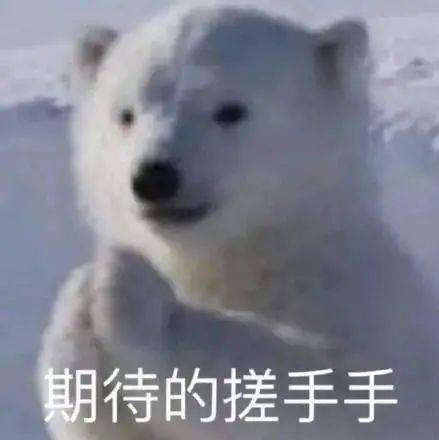 北极大熊哥哥 