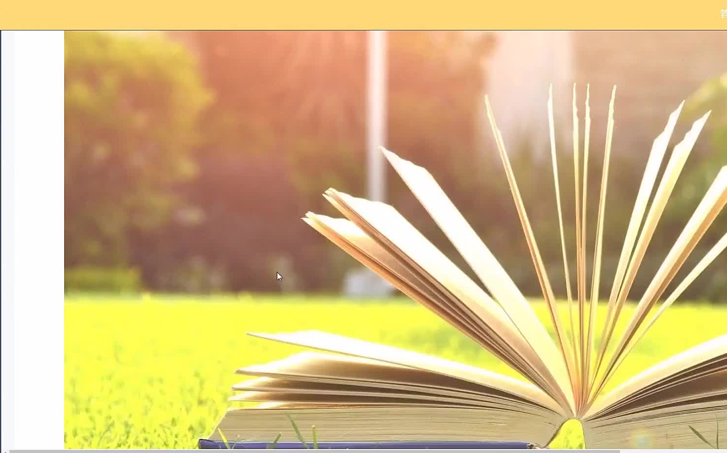 毕设答辩大揭秘!中小学图书馆管理的设计与实现-闽南理工学院,毕业...