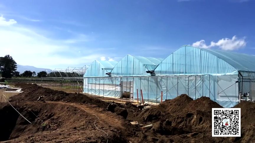 温室大棚建设如何坚固耐用?