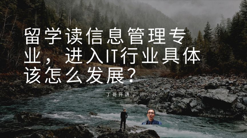 留学读信息管理专业,进入it行业具体该怎么发展?