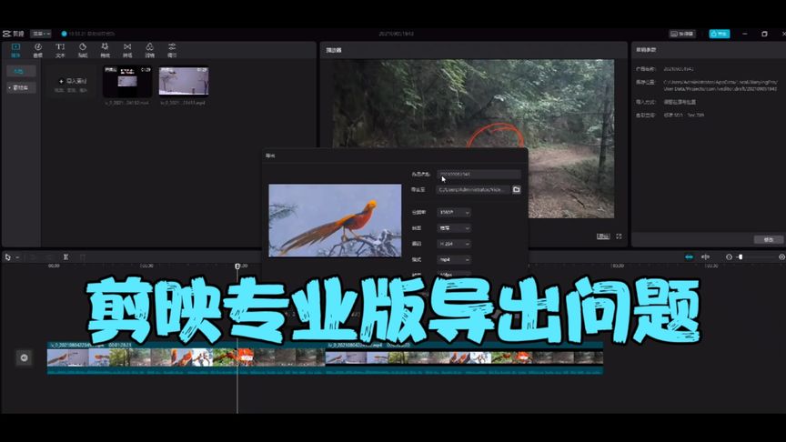 剪映专业版无法导出问题录屏演示,有没有高人能够解决这个问题?