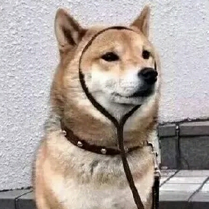 鬼畜汇出 