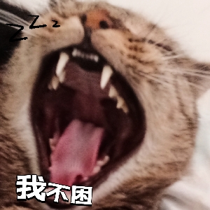 lil蓁芃 