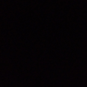 不会走的走地鸡 