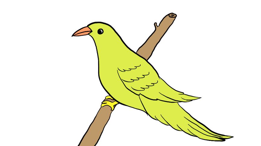 教你用333333画小鸟!又酷又帅又好看!还非常的简单好画!家长收