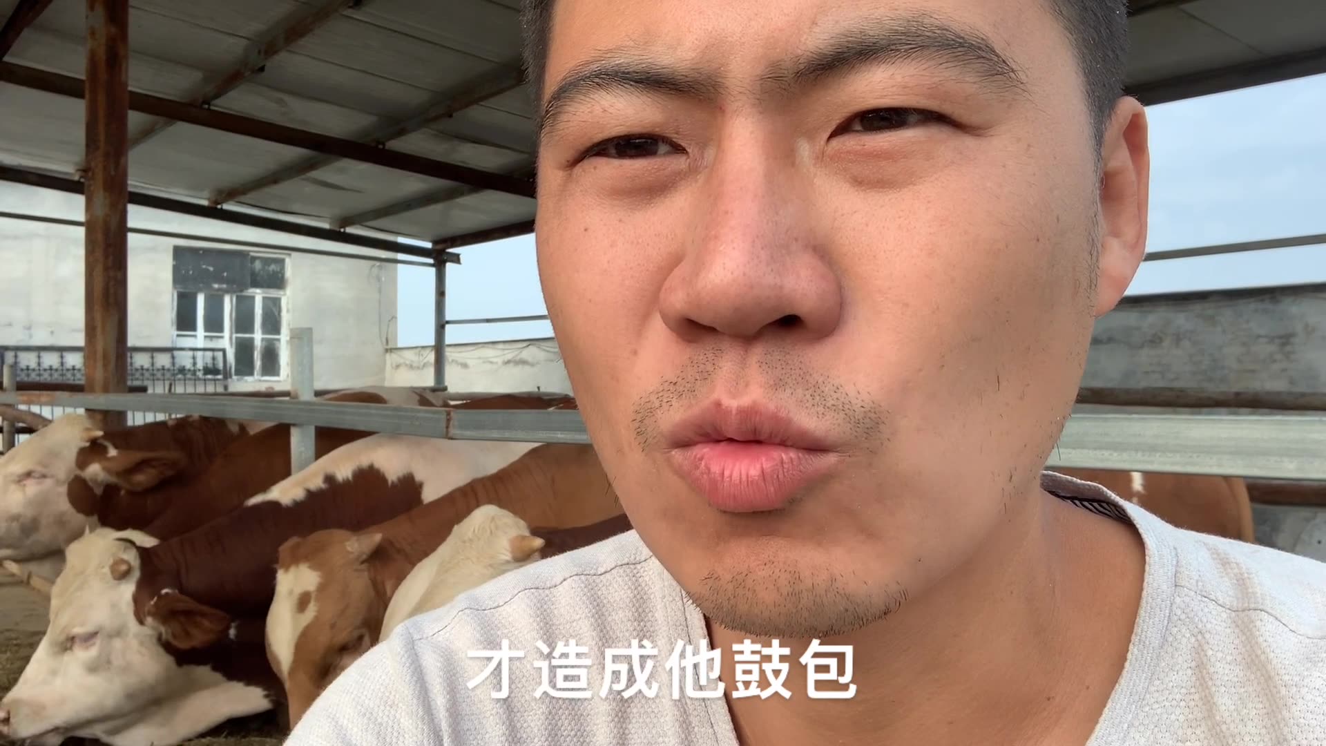 养牛小伙第一次给牛打驱虫针,就打个大鼓包,皮下注射太难了!