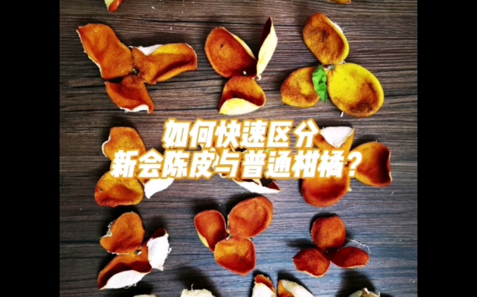 如果快速区分新会陈皮与普通柑橘?