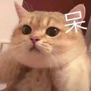 一个爱玩电脑的小学生 