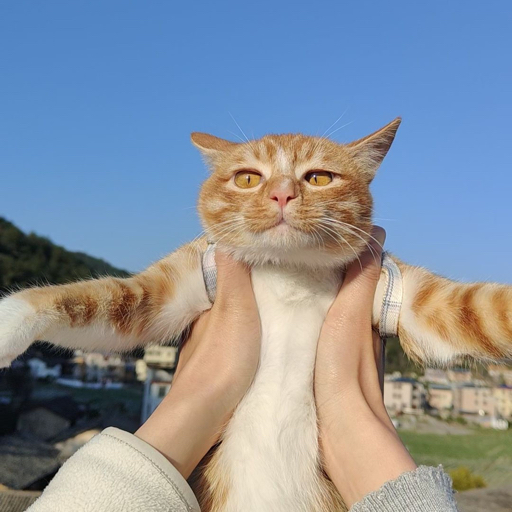 -汤唐躺趟- 