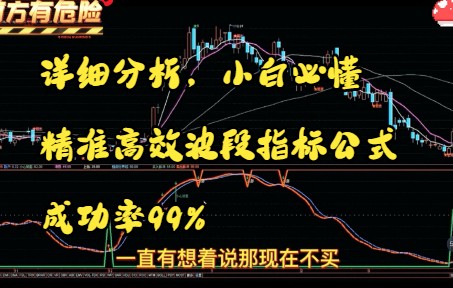 详细分析,小白必懂精准高效波段指标公式成功率99%