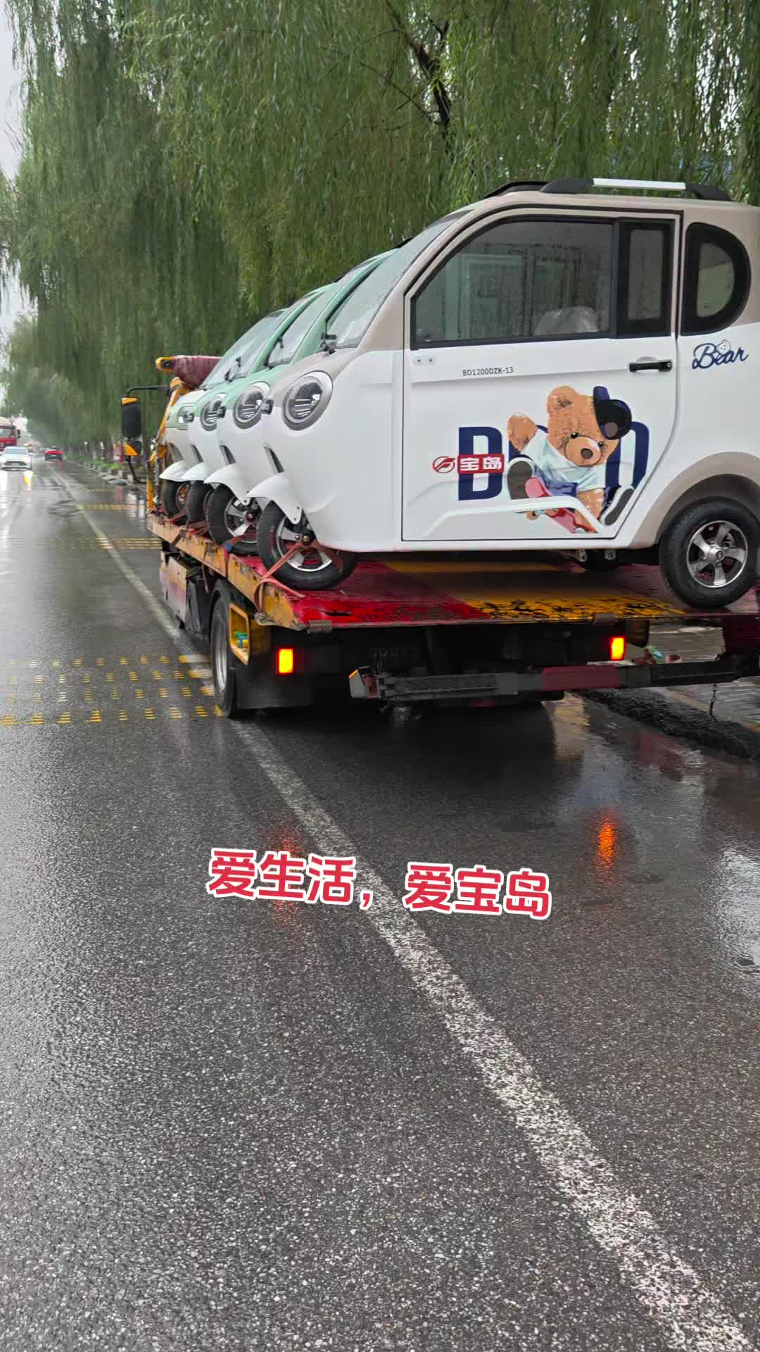 骑宝岛,没烦恼!宝岛电动三轮车!