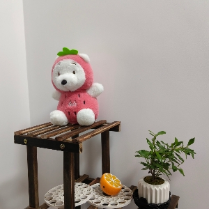 搬着小板凳的猫 