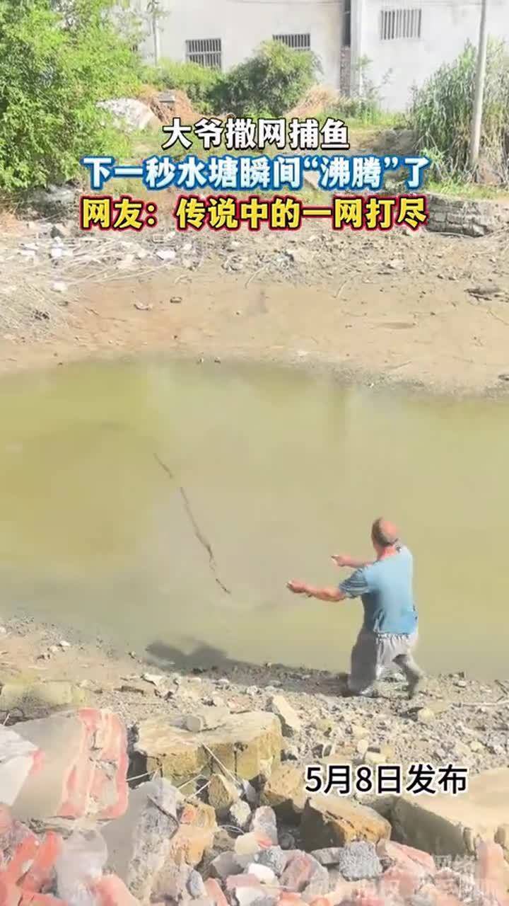 大爷撒网捕鱼,水塘瞬间"沸腾",实现传说中的一网打尽!