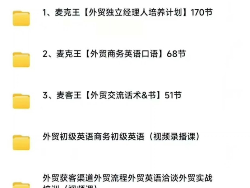 2024麦克王商务英语外贸独立经理人课程