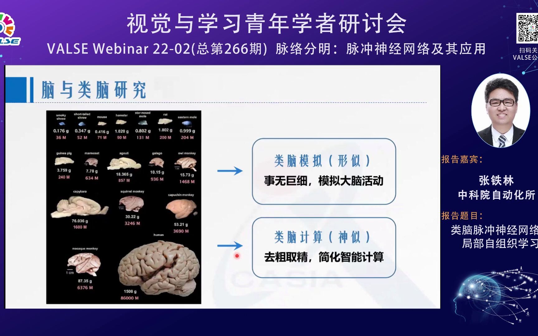 20220112【脉络分明:脉冲神经网络及其应用】张铁林:类脑脉冲神经...